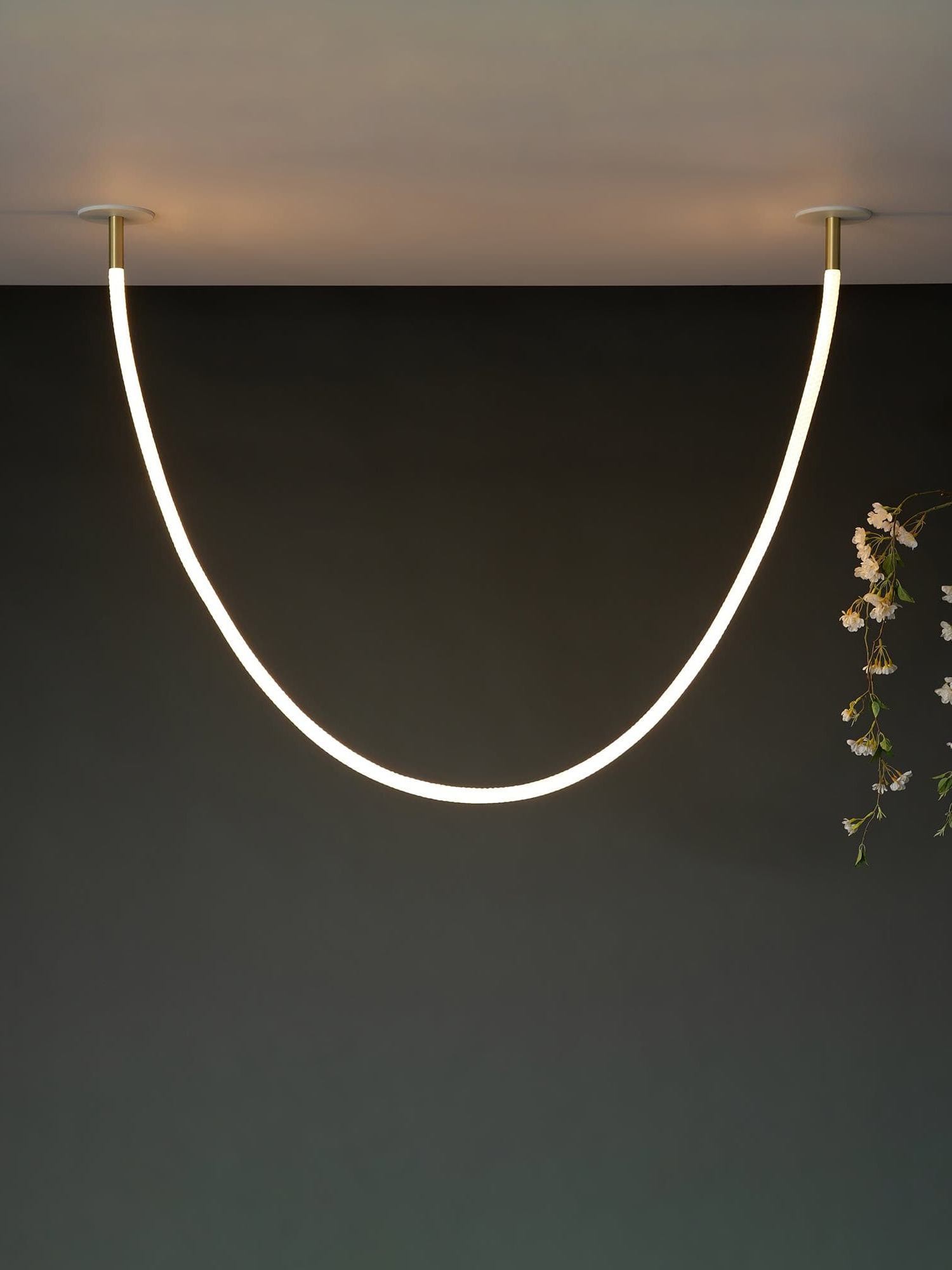 Tracer Loop Pendant Light