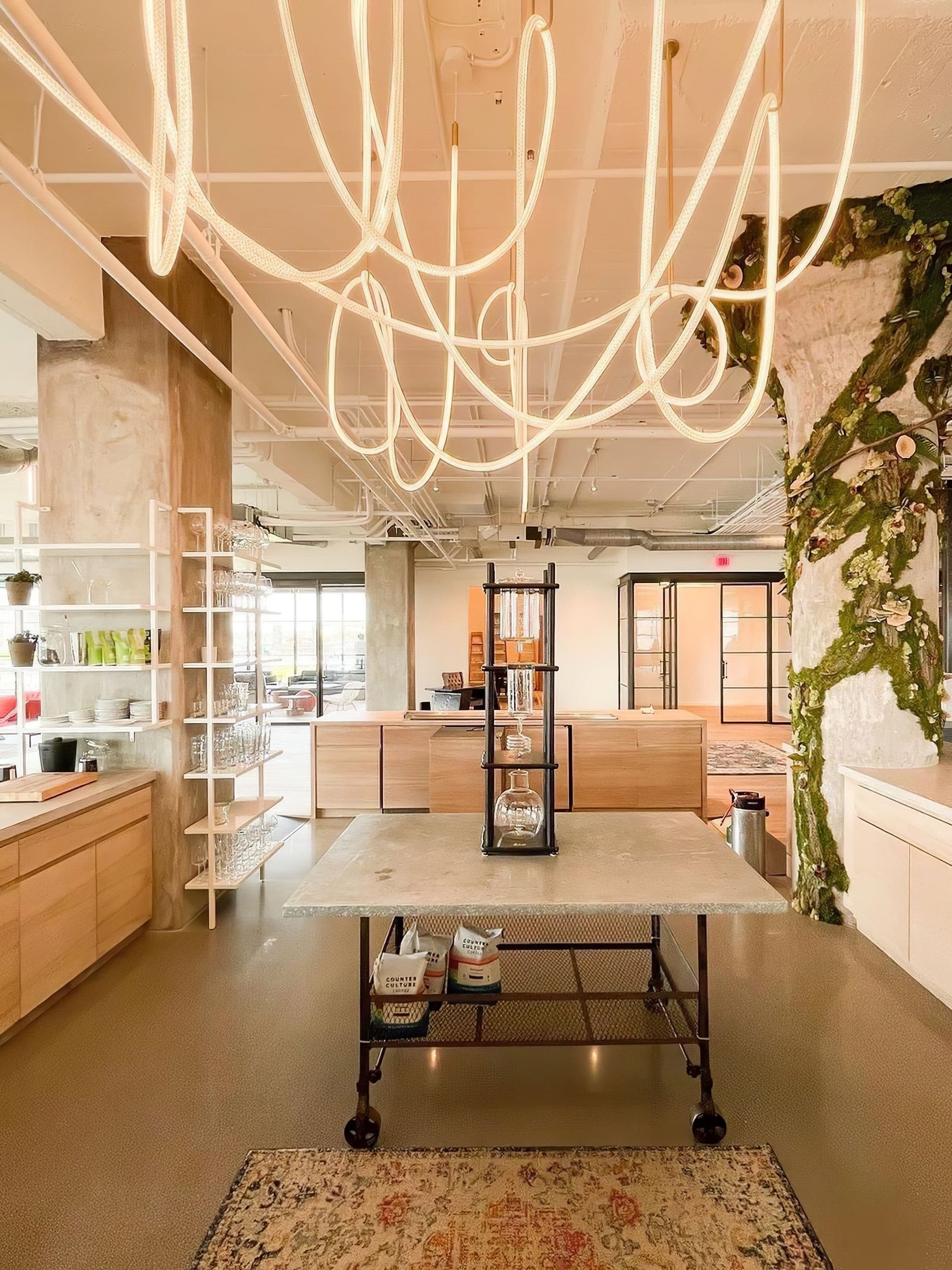 Tracer Loop Pendant Light