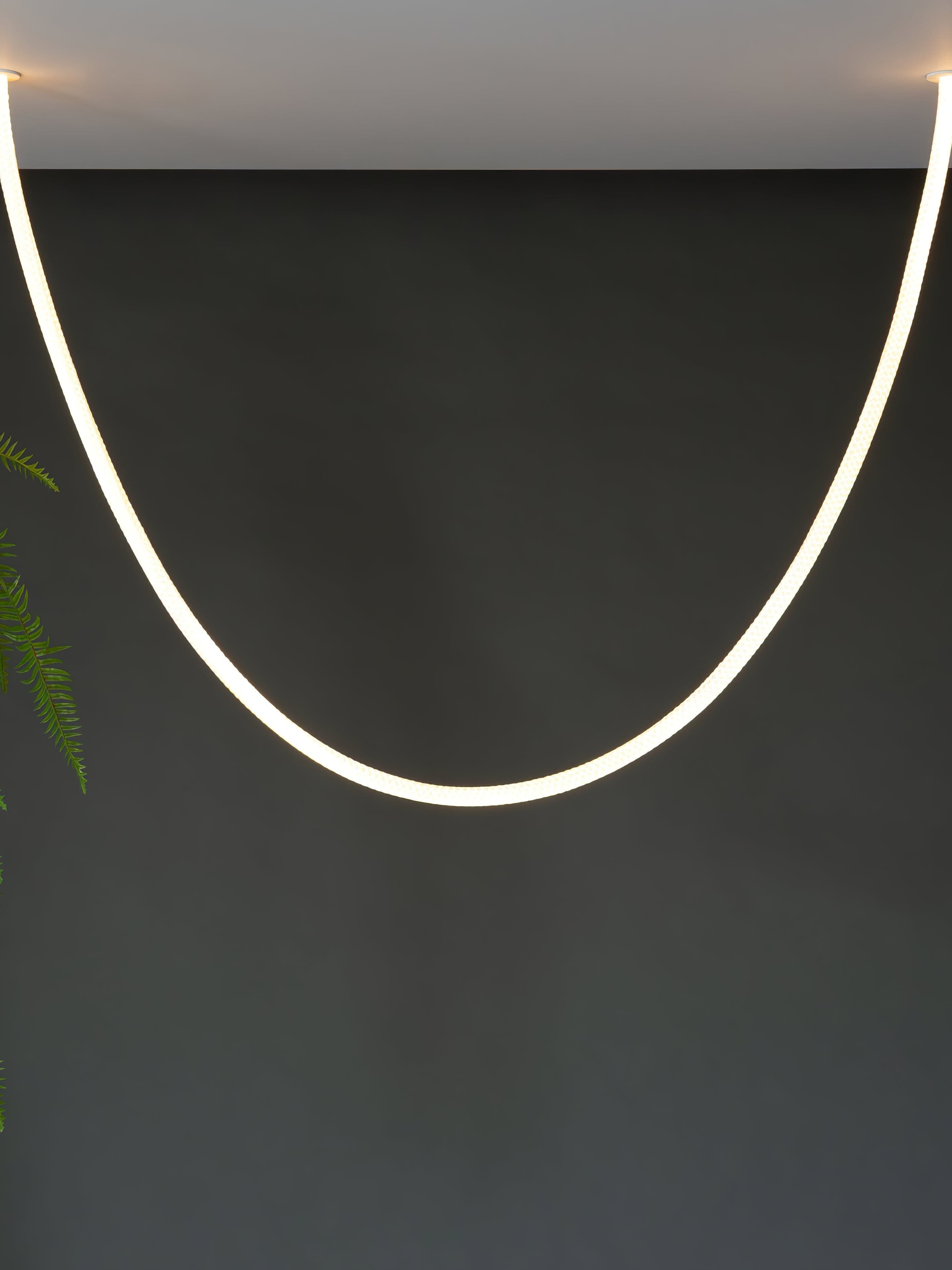 Tracer Loop Pendant Light