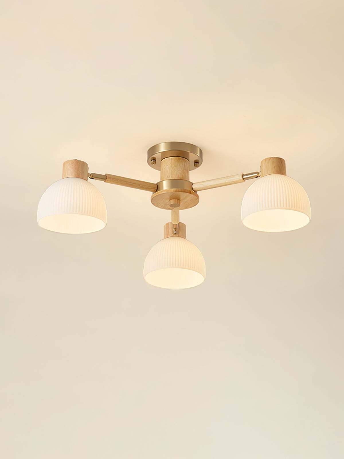 Flared Ceiling Light