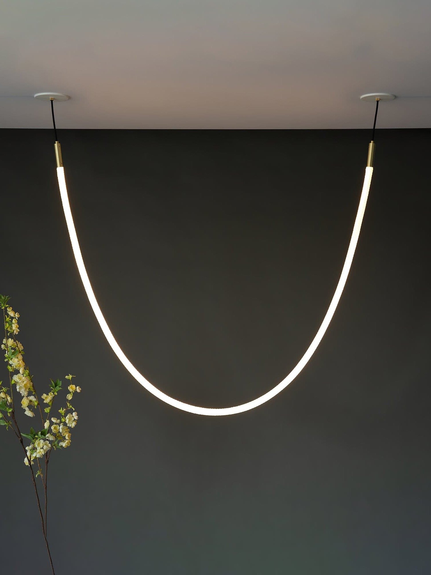 Tracer Loop Pendant Light