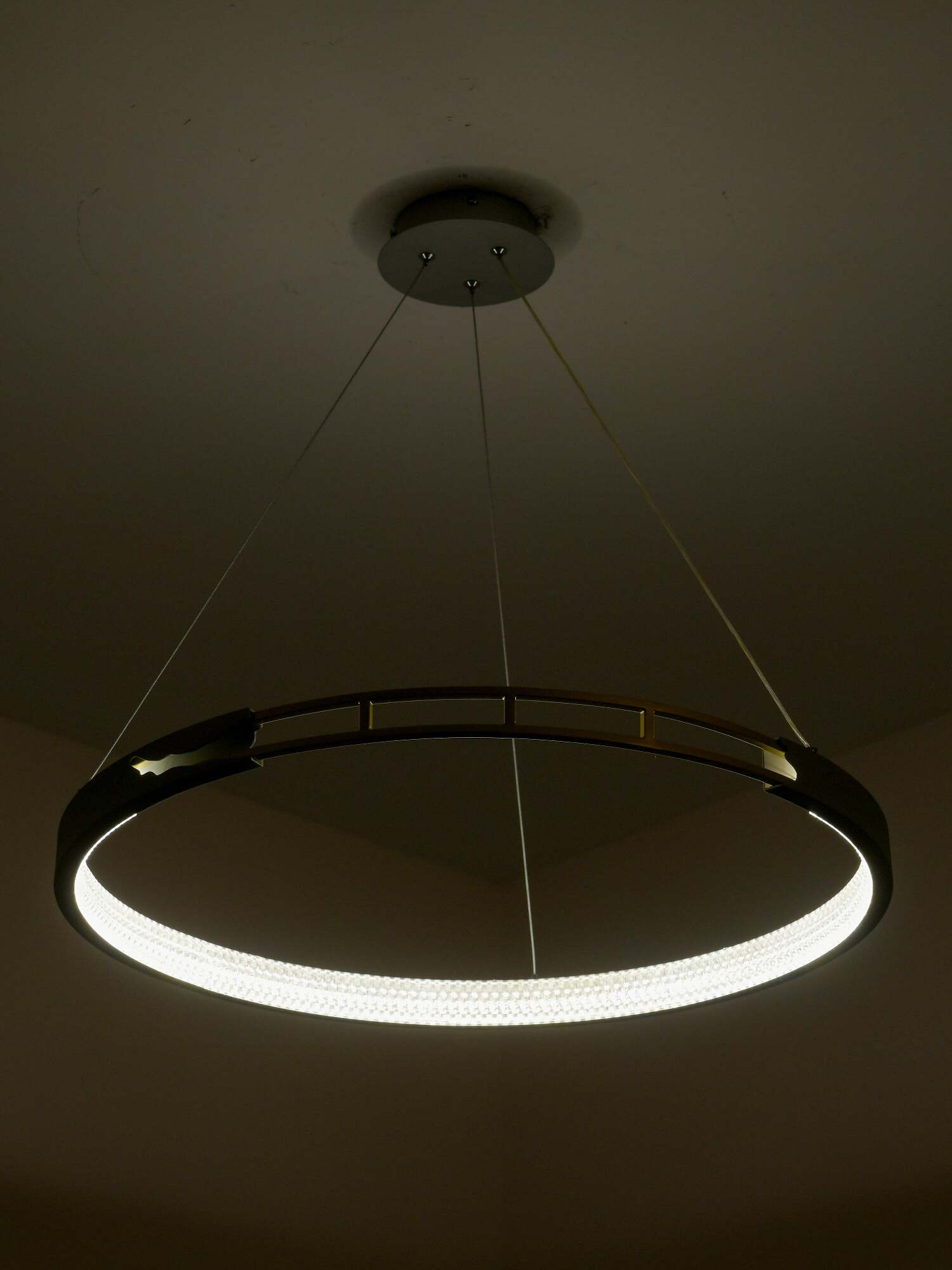 Circular Ring Pendant Light