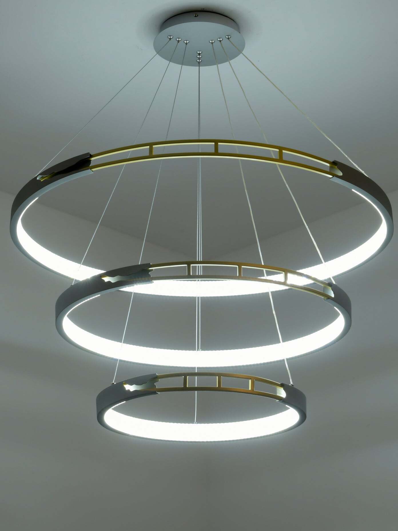 Circular Ring Pendant Light