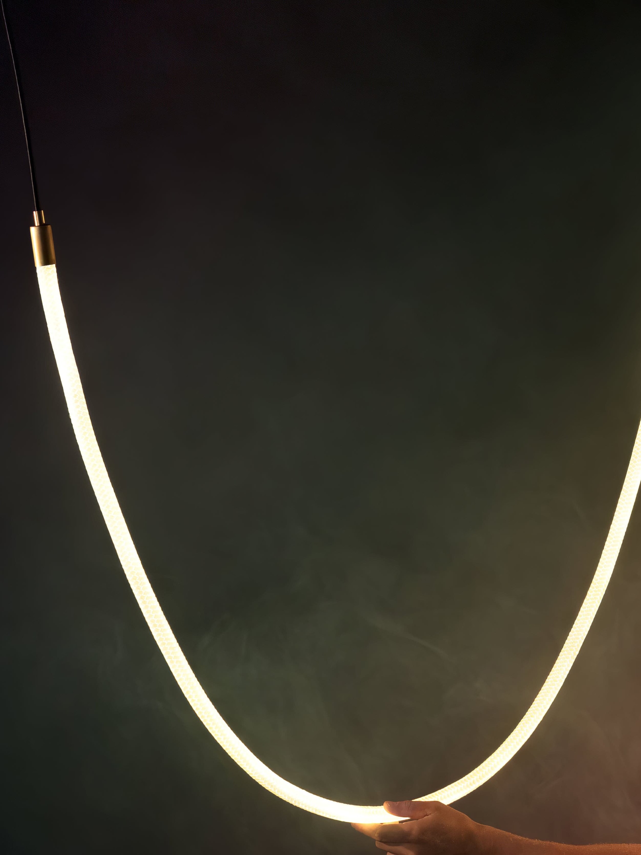 Tracer Loop Pendant Light