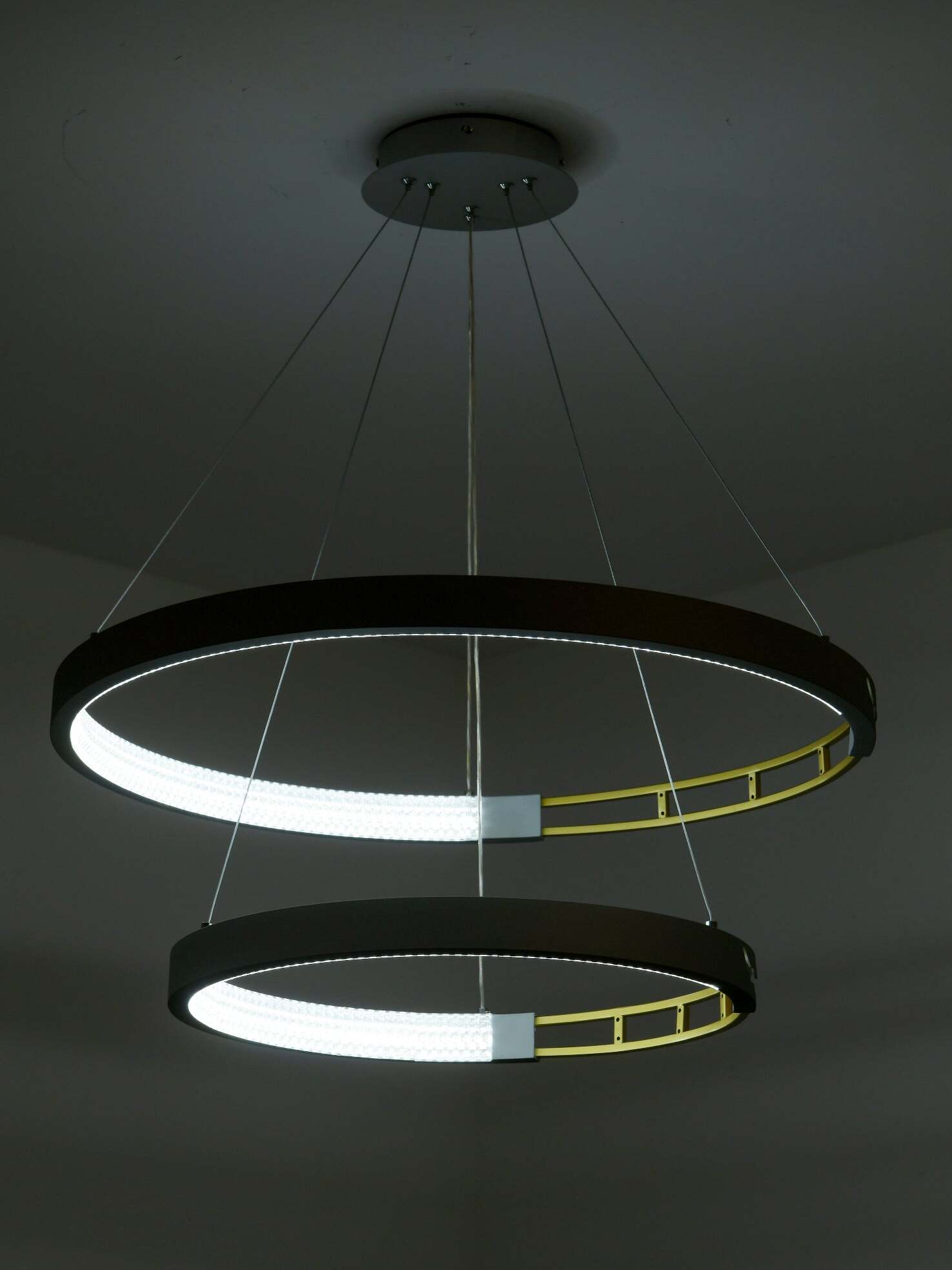 Circular Ring Pendant Light