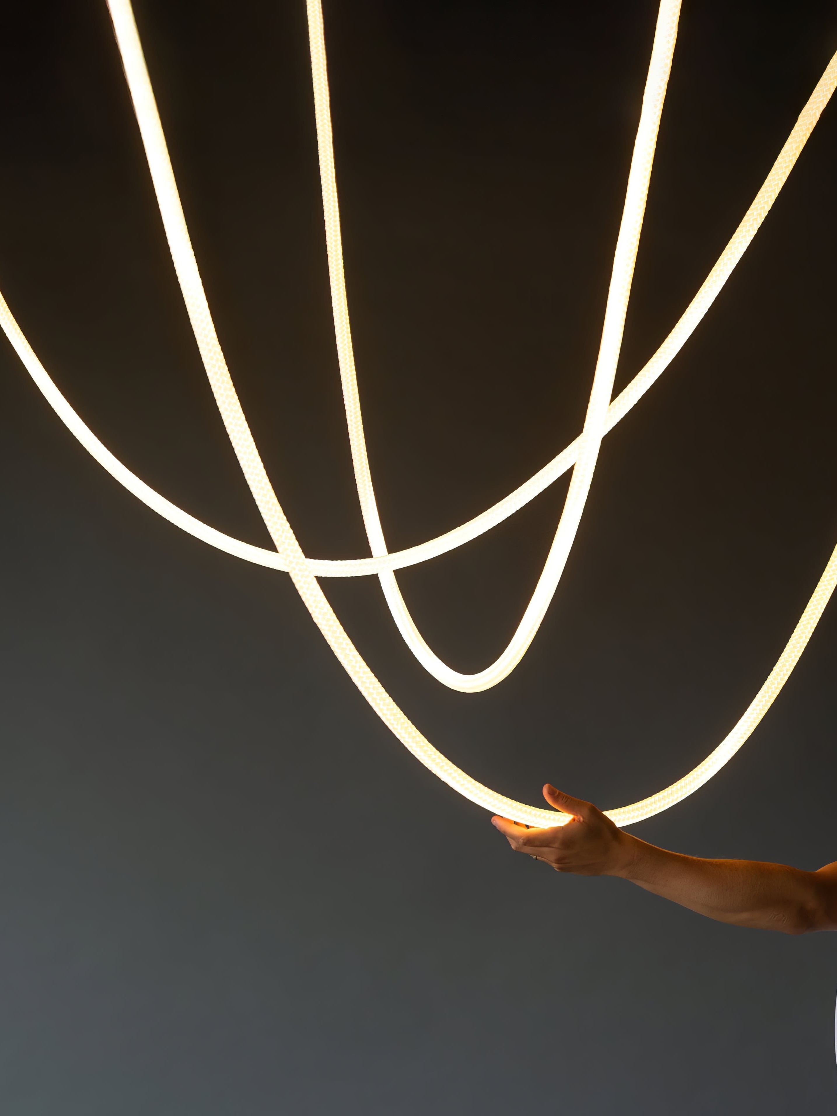 Tracer Loop Pendant Light