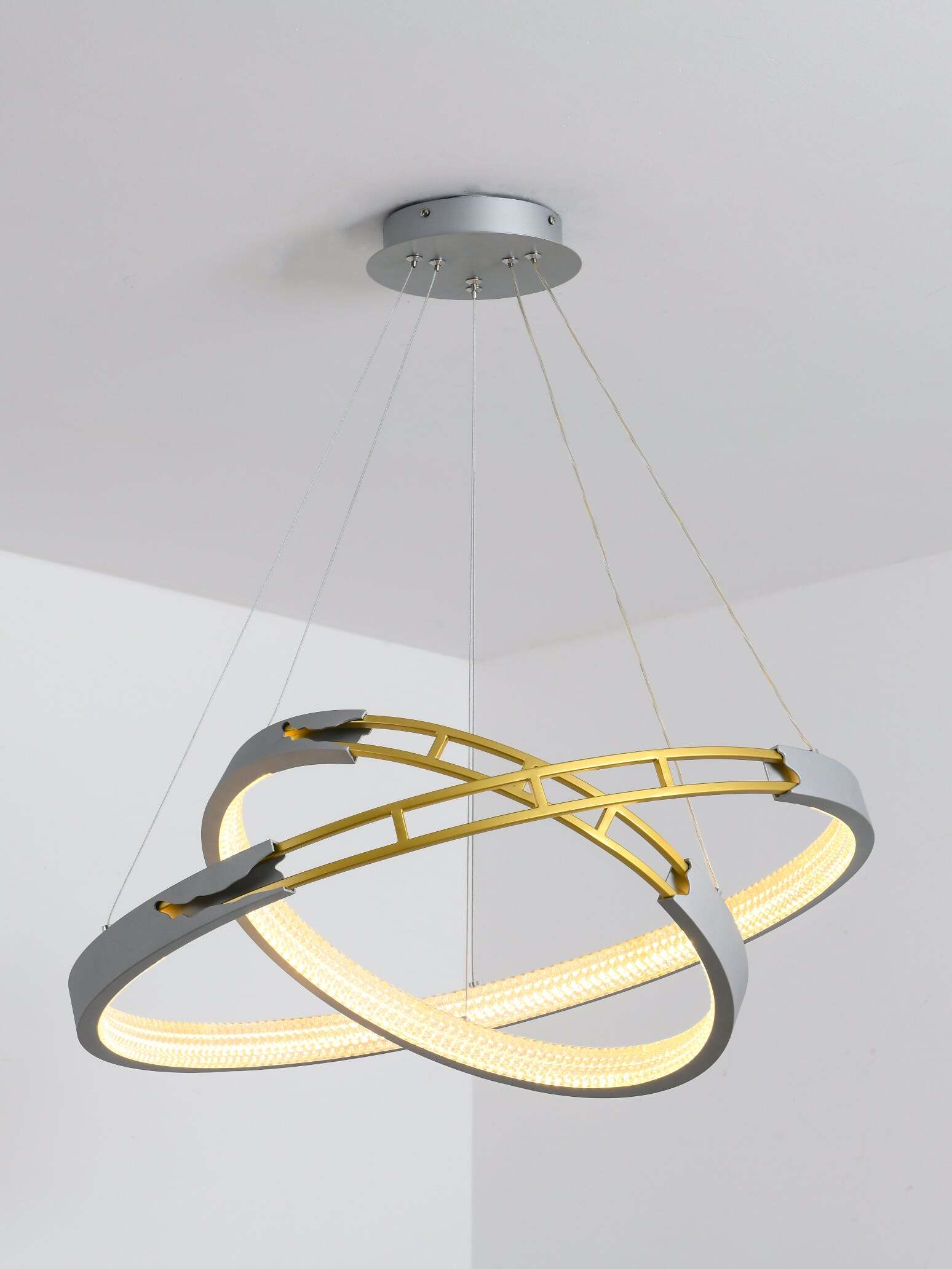 Circular Ring Pendant Light