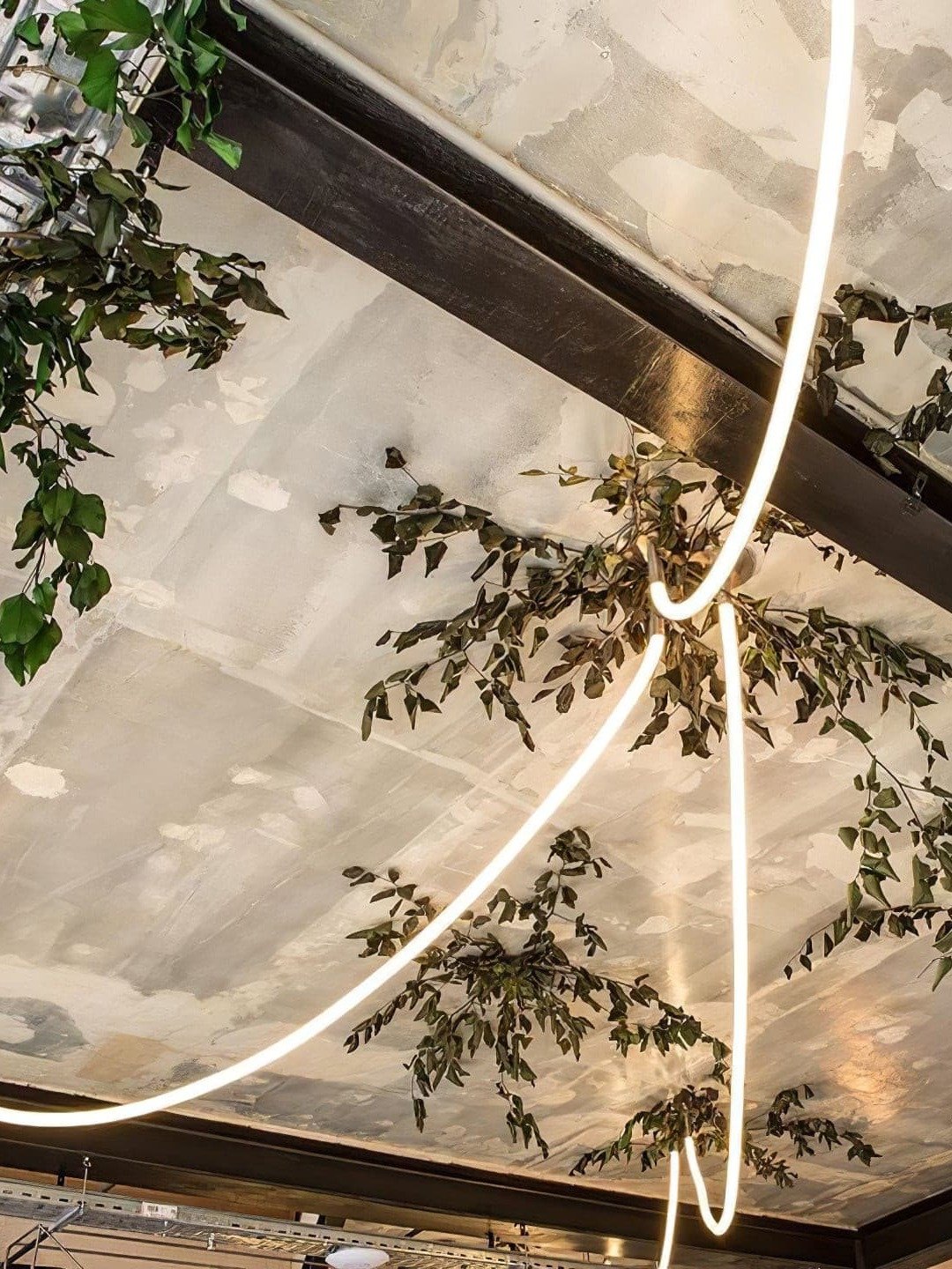 Tracer Loop Pendant Light