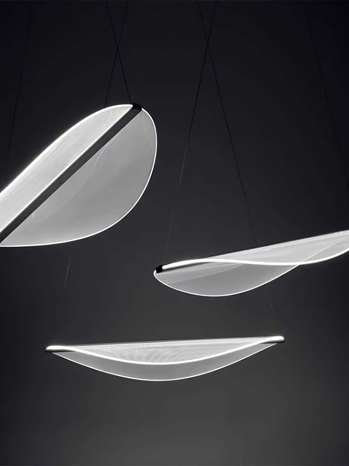 Diphy Pendant Lamp