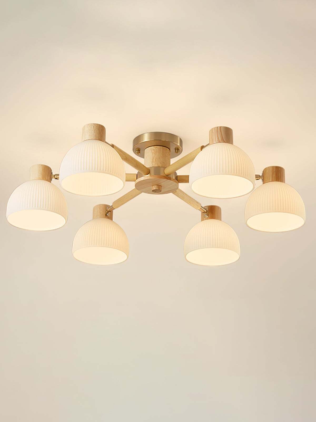 Flared Ceiling Light