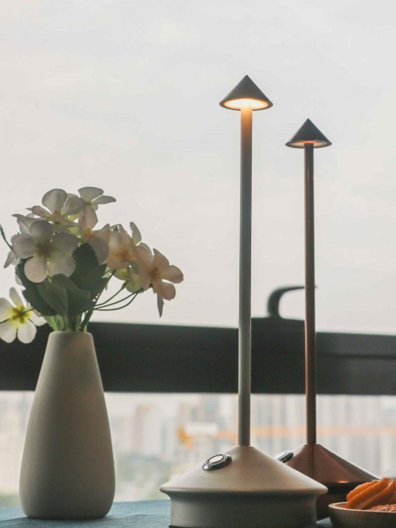 Pina Pro Rechargeable Table Lamp