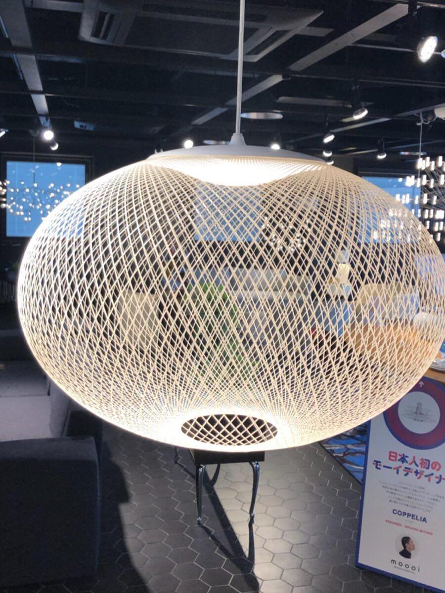 NR2 Pendant Light