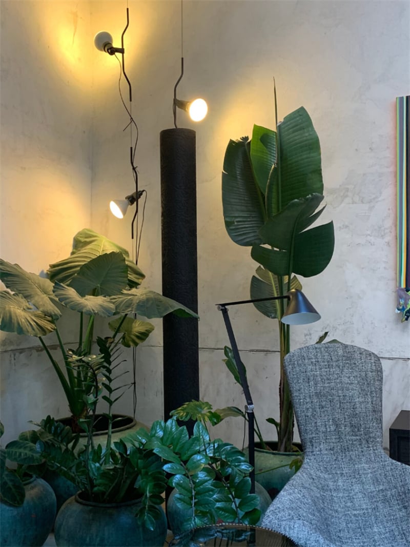 Parentesi Lamp Dimmable