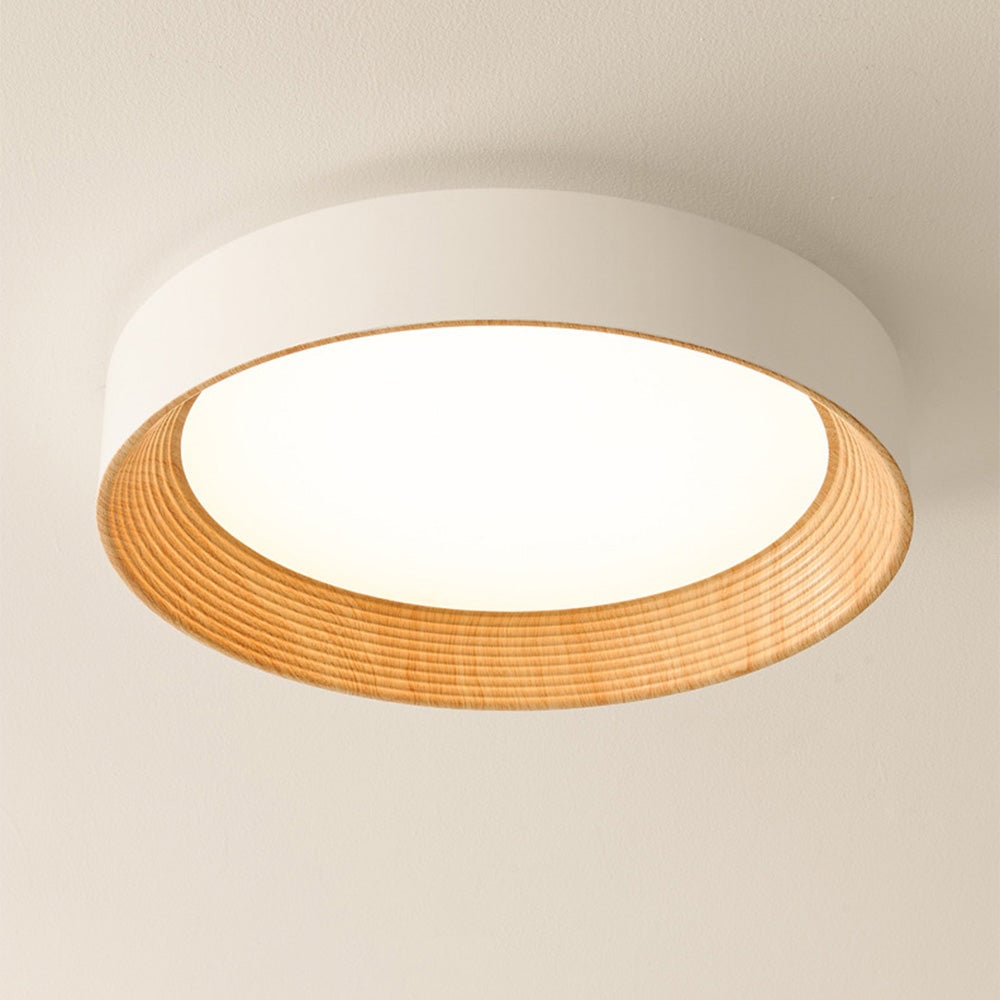 Minimalist LED Round Ceiling Light